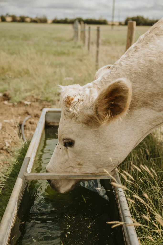 Lifestyle & Brand Photographer